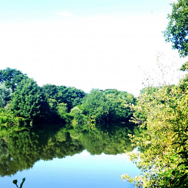 Lamb Pools - Lamb Angling Club